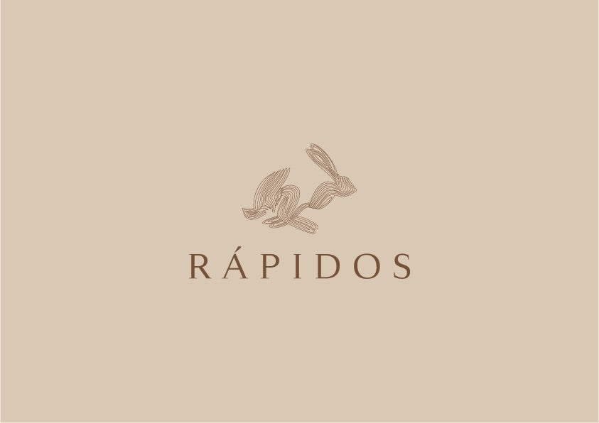 Rapidos store – rapidosstores